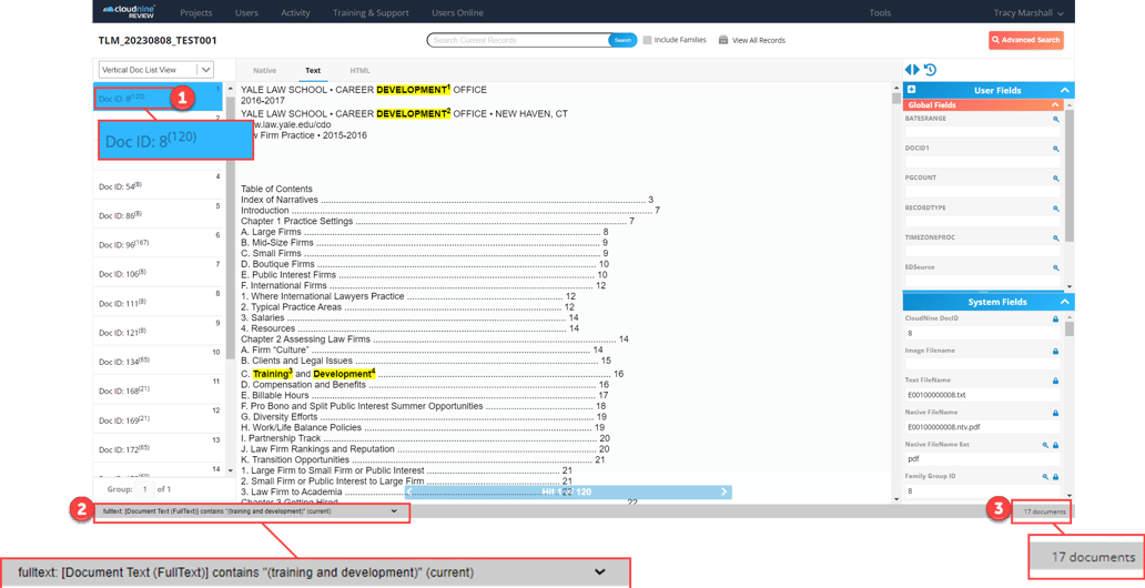CloudNine Review: Does CloudNine Review have a quick search option?