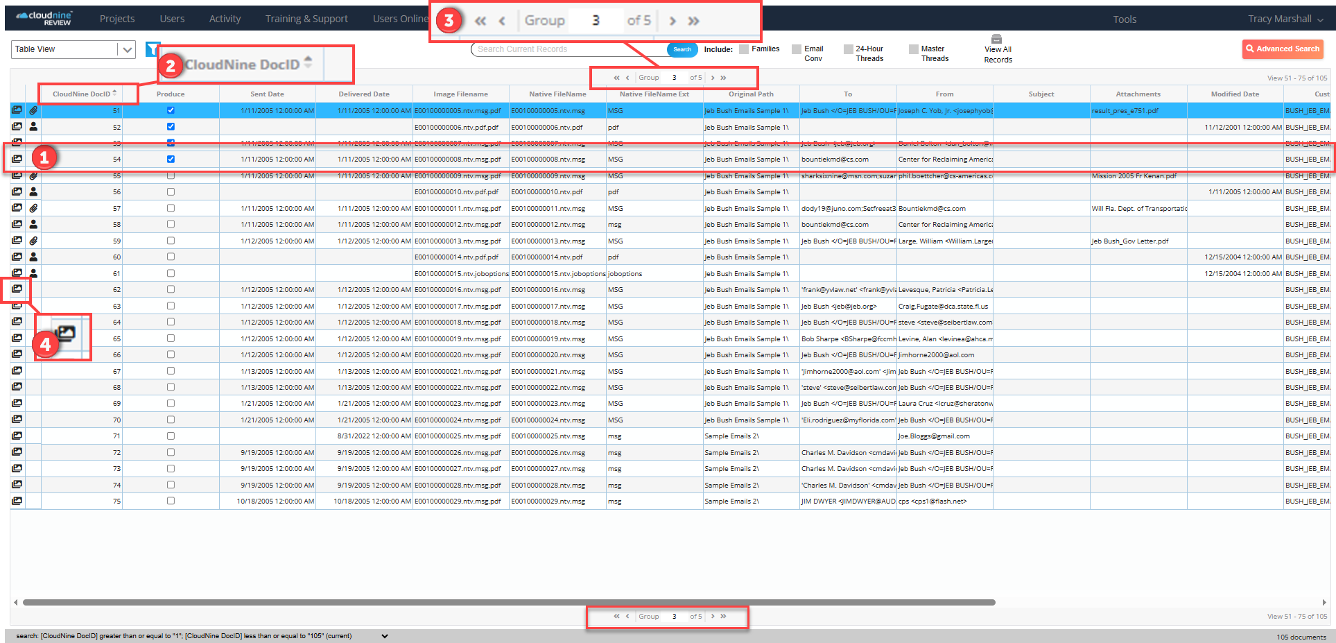 CloudNine Review: How do I View Documents in CloudNine Review?